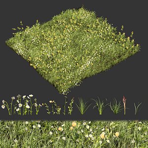 Grasses AutoCAD drawing Models for Download | TurboSquid