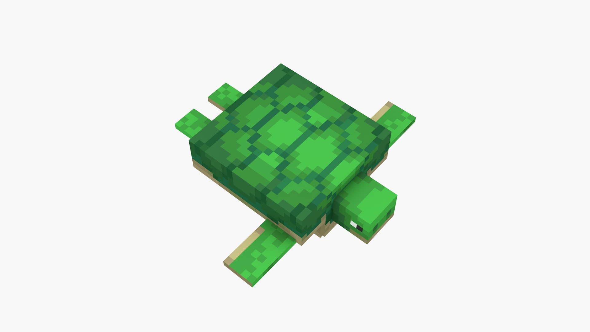 3D модель Turtle Minecraft - TurboSquid 2022391
