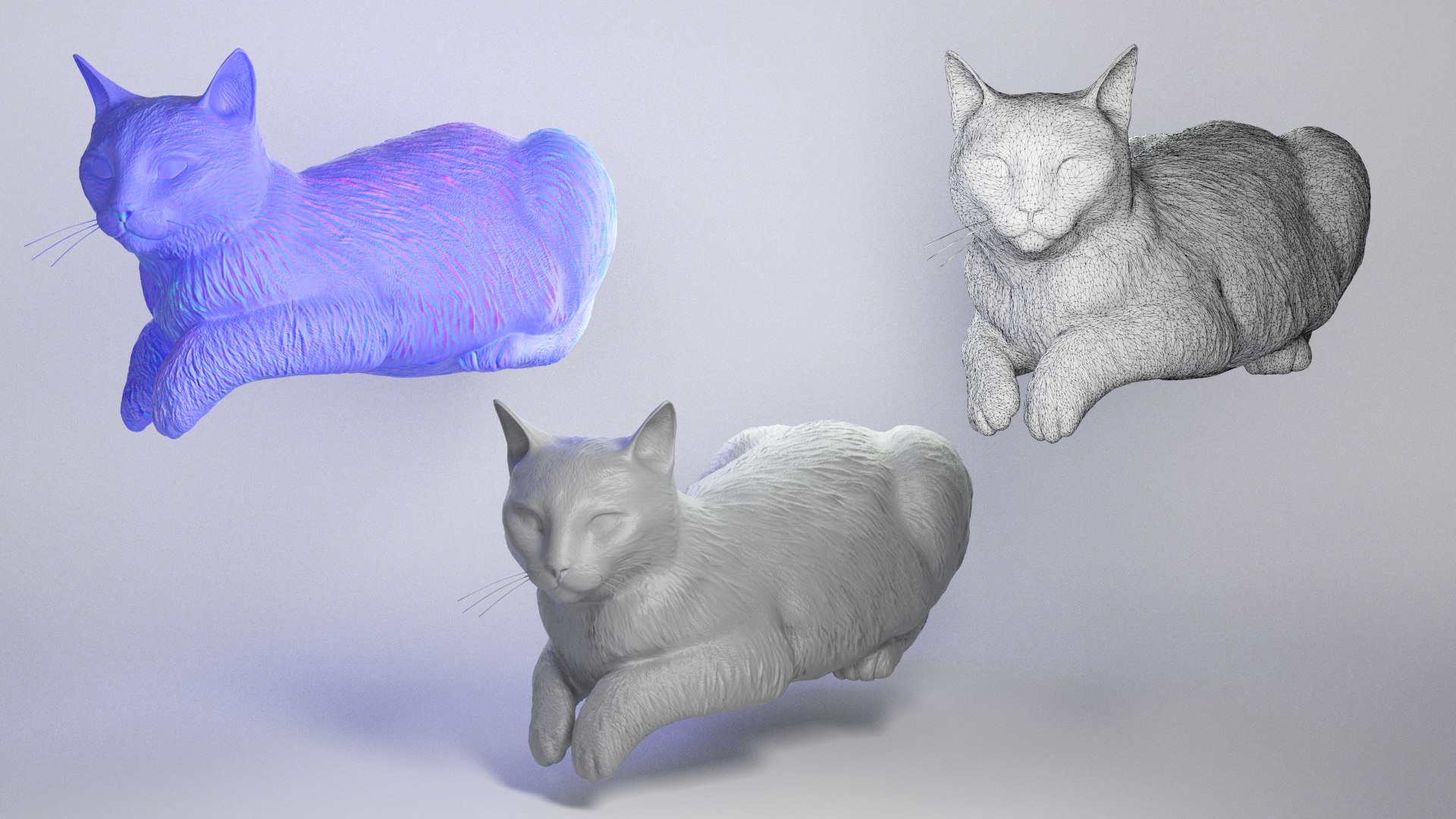 Laying Cat 14 3D Model - TurboSquid 1745691