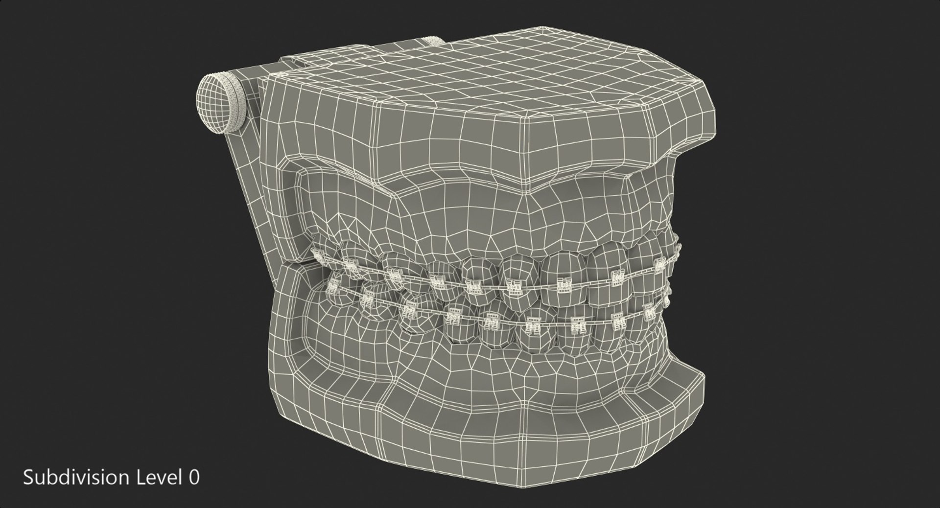 Transparent dental typodont teeth 3D model - TurboSquid 1289769