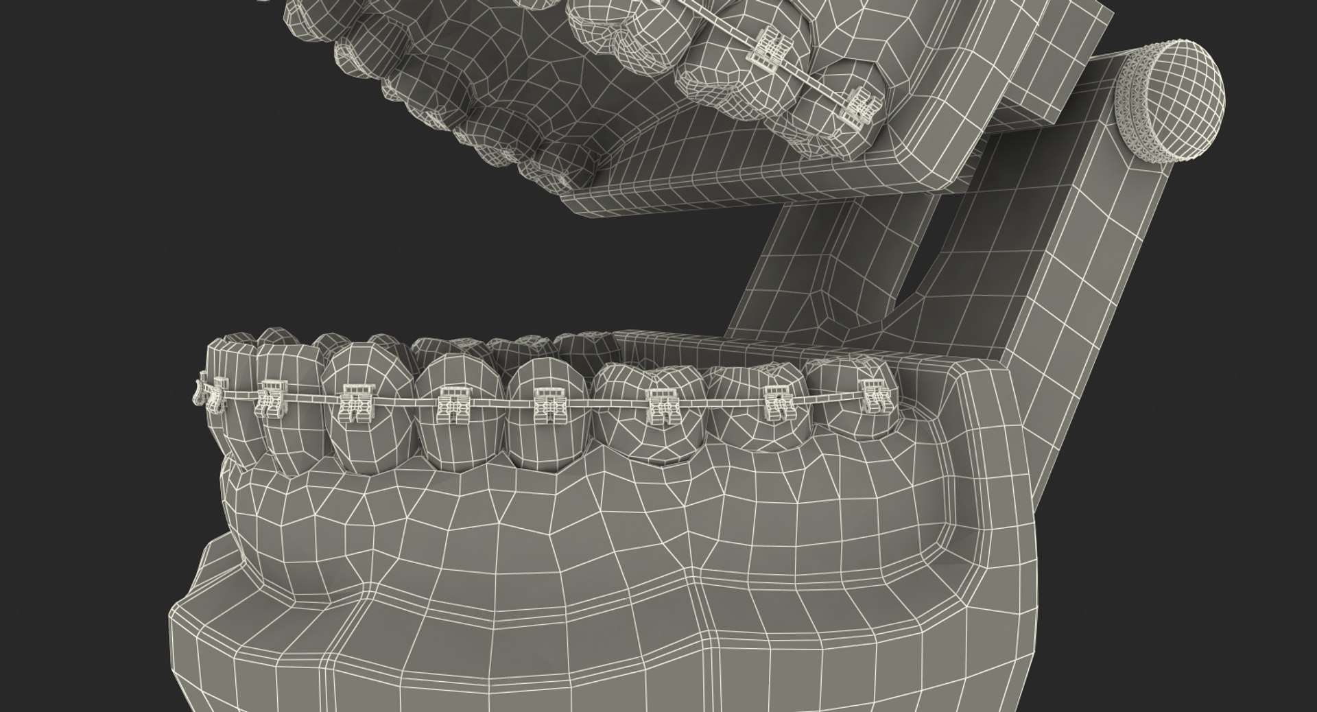 Transparent dental typodont teeth 3D model - TurboSquid 1289769