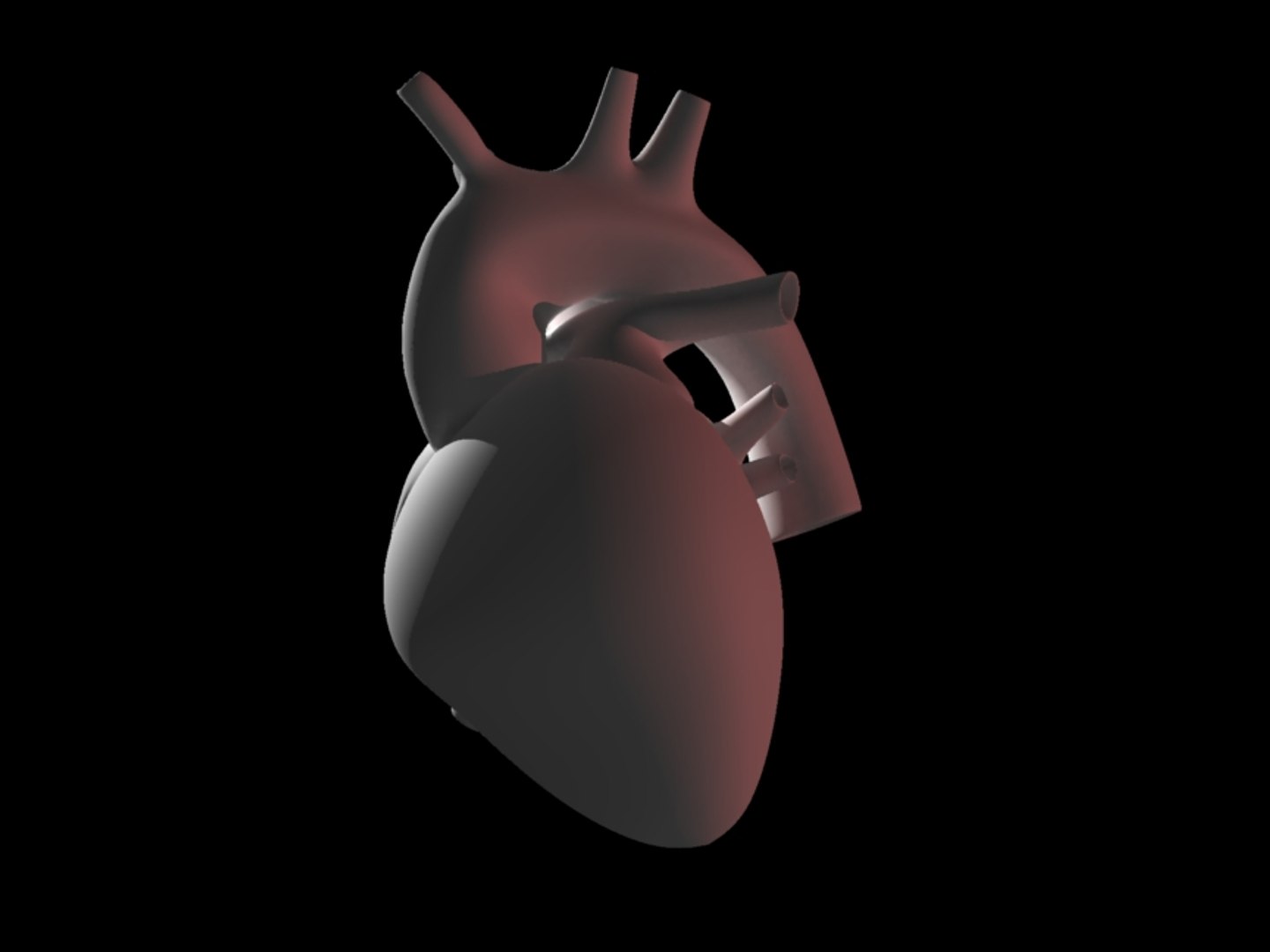 3d Model Of Atrium Ventricle Pulmonary