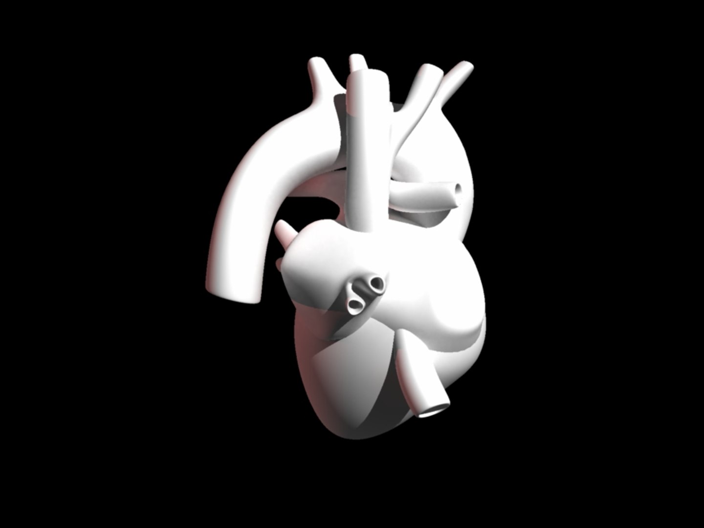 3d Model Of Atrium Ventricle Pulmonary