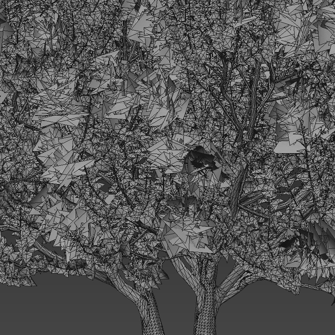 3D Set Of Cotinus Coggygria Or Smoke Tree - 3 Trees Model - TurboSquid ...