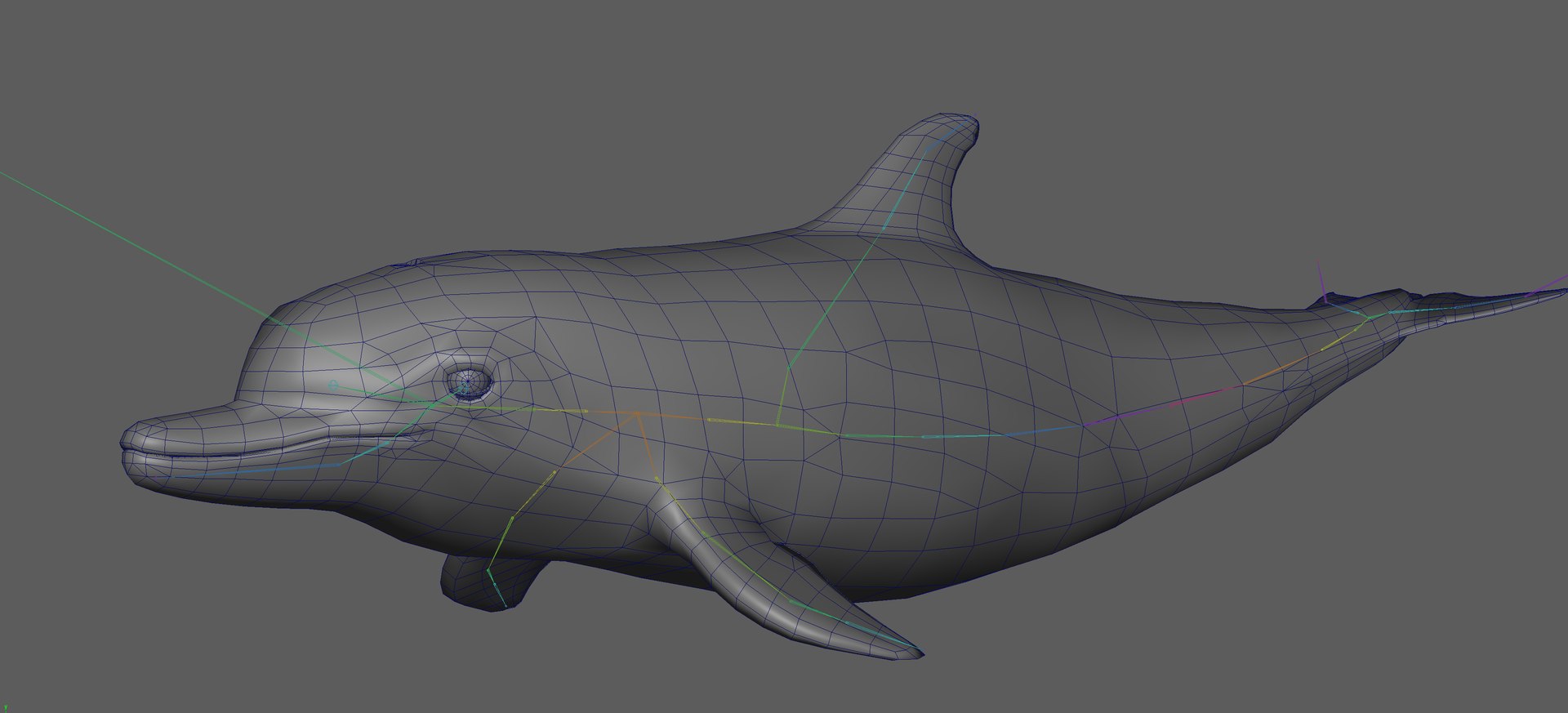 Dolphin Rigged Model - TurboSquid 2305945