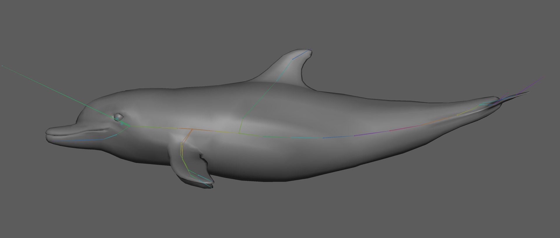 Dolphin Rigged Model - TurboSquid 2305945