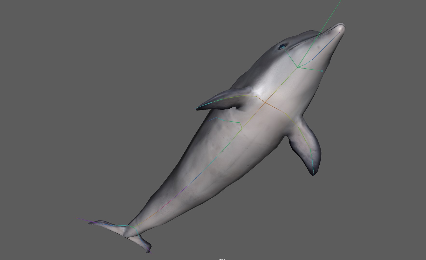 Dolphin Rigged Model - TurboSquid 2305945