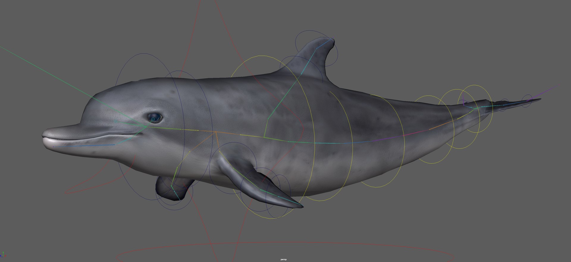Dolphin Rigged Model - TurboSquid 2305945
