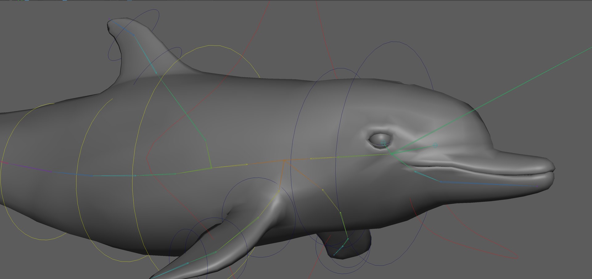 Dolphin Rigged Model - TurboSquid 2305945
