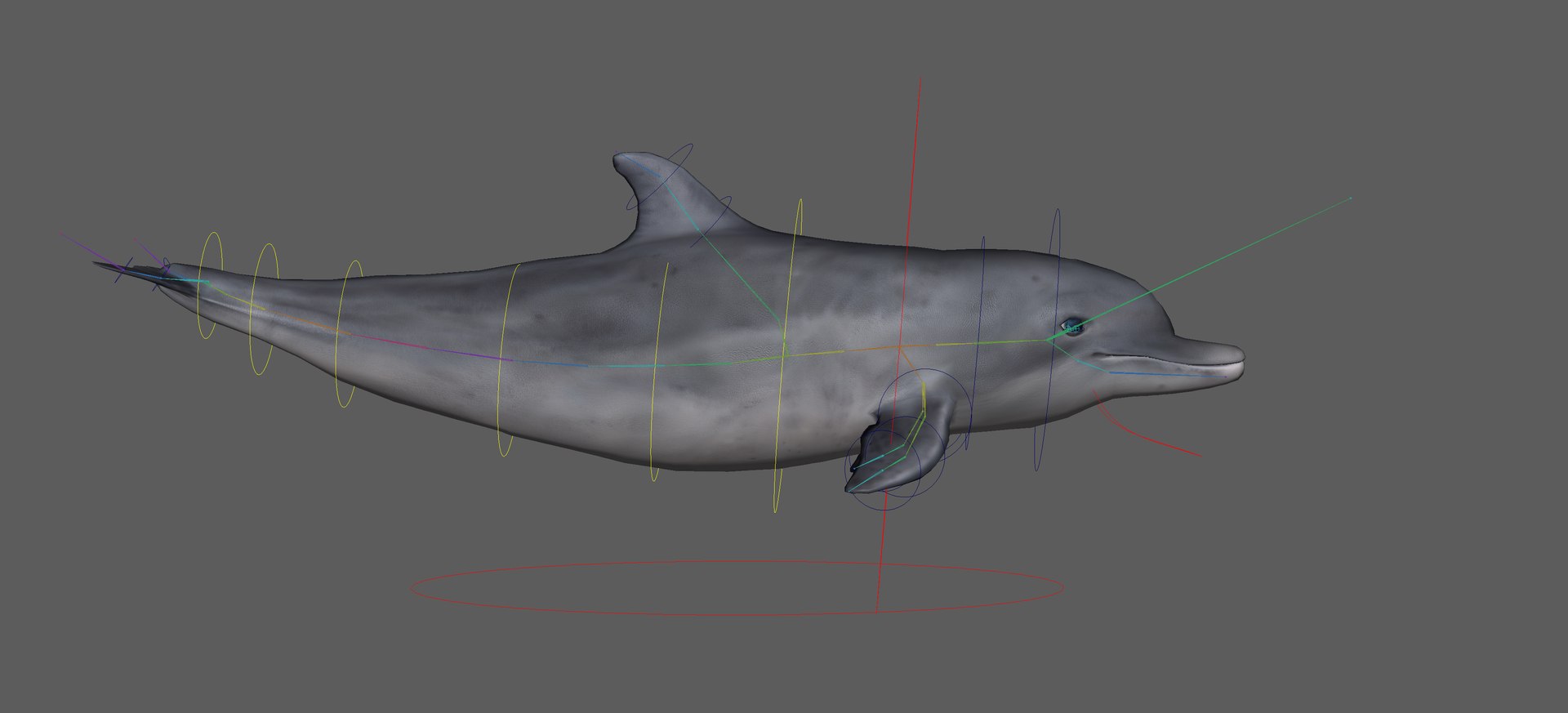 Dolphin Rigged Model - TurboSquid 2305945