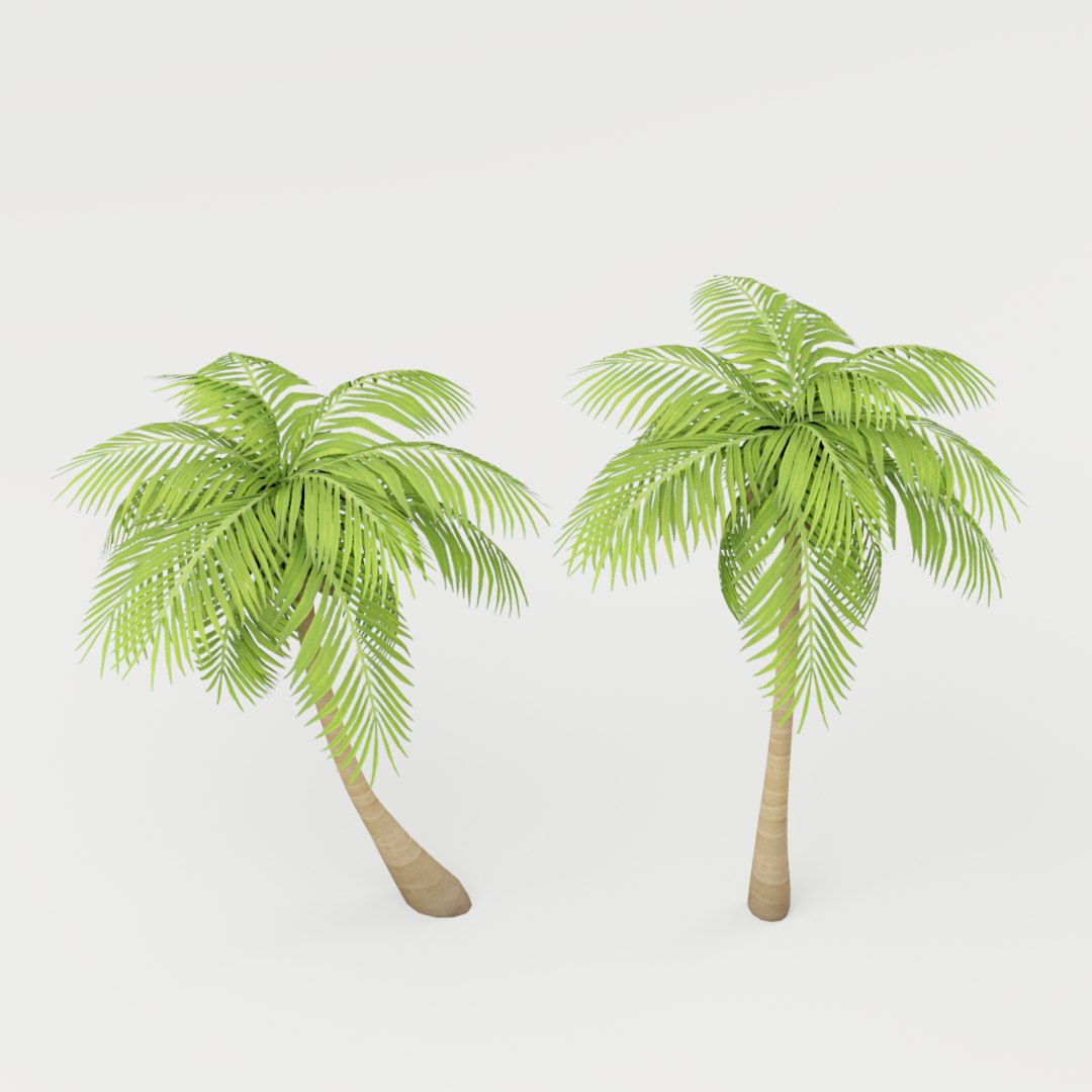Coconut Tree Model - TurboSquid 1423030