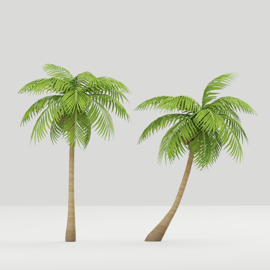 Coconut Tree Model - TurboSquid 1423030
