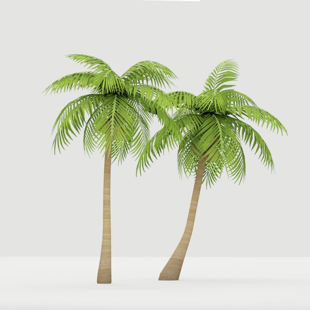 Coconut Tree Model - TurboSquid 1423030