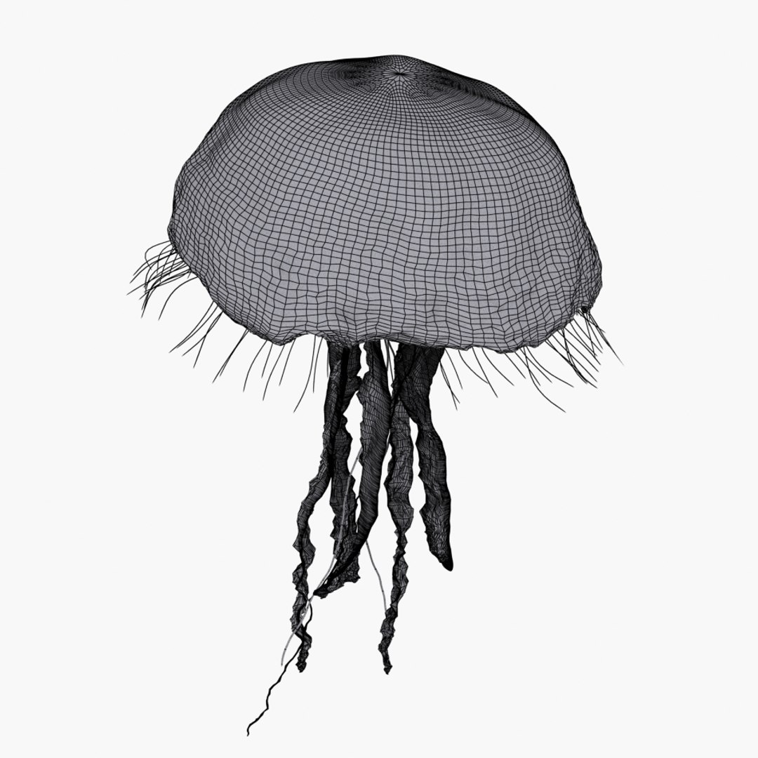3d Blue Jellyfish Model