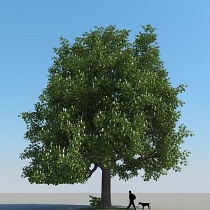 realistic linden tree leaf 3d model
