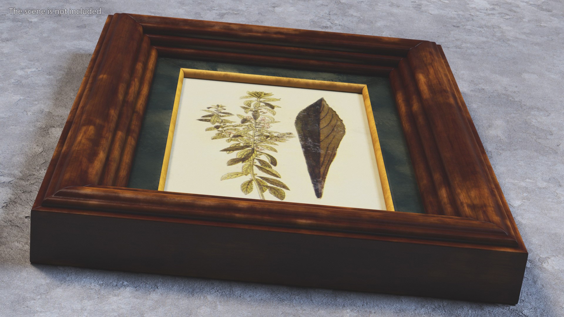 3D Picture Frames Collection 3 - TurboSquid 2006291