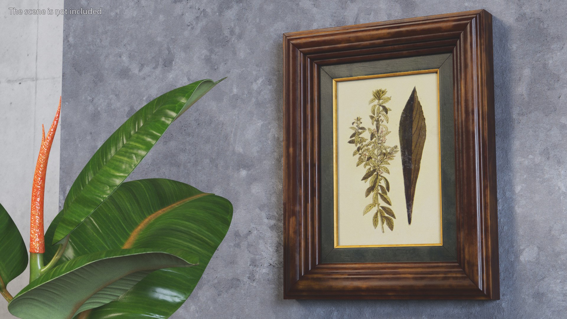 3D Picture Frames Collection 3 - TurboSquid 2006291