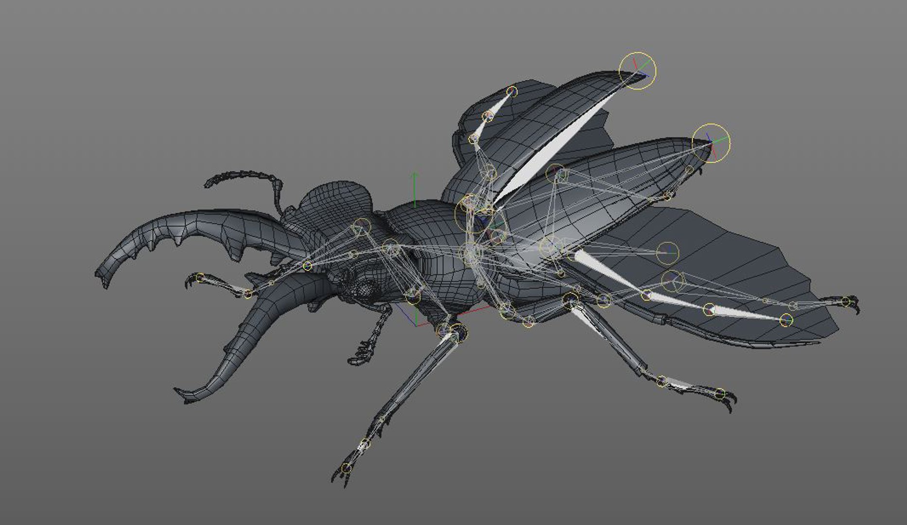 3D Bee Beetle - TurboSquid 1537299