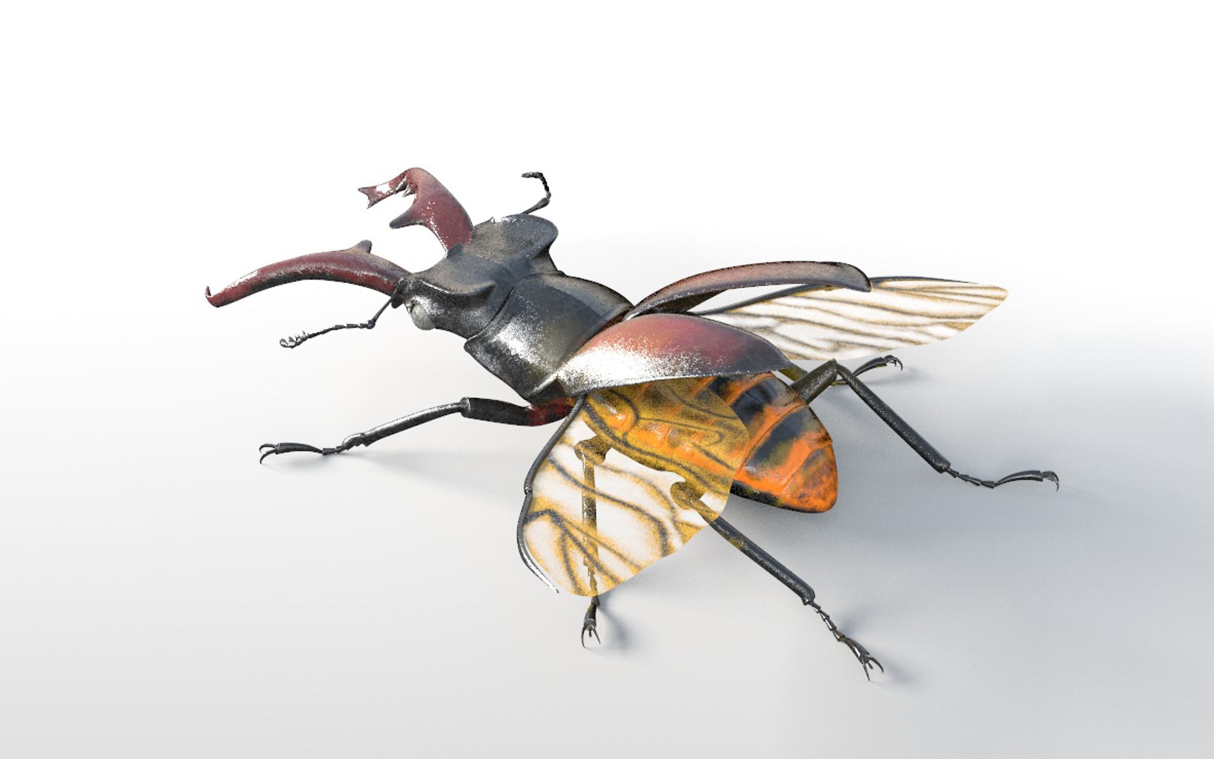 3D Bee Beetle - TurboSquid 1537299