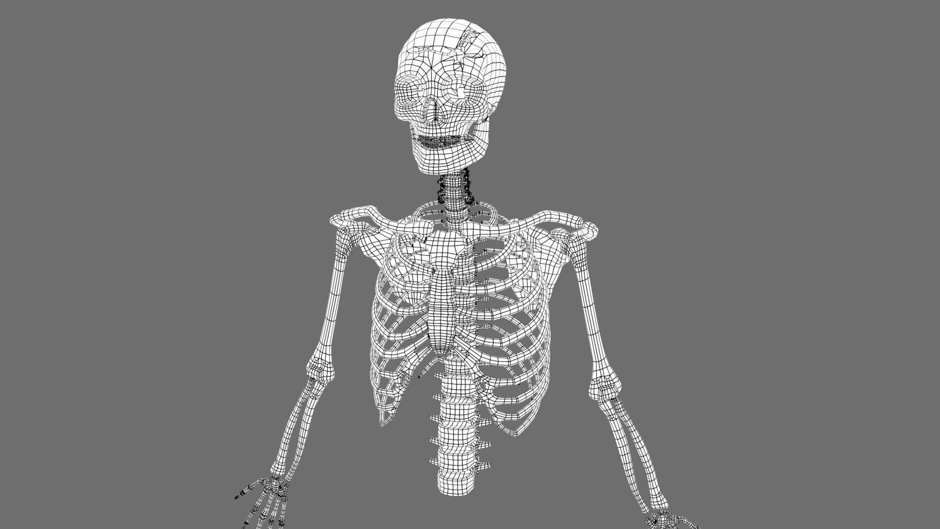 Skull Body Skeleton 3D Model - TurboSquid 1538274