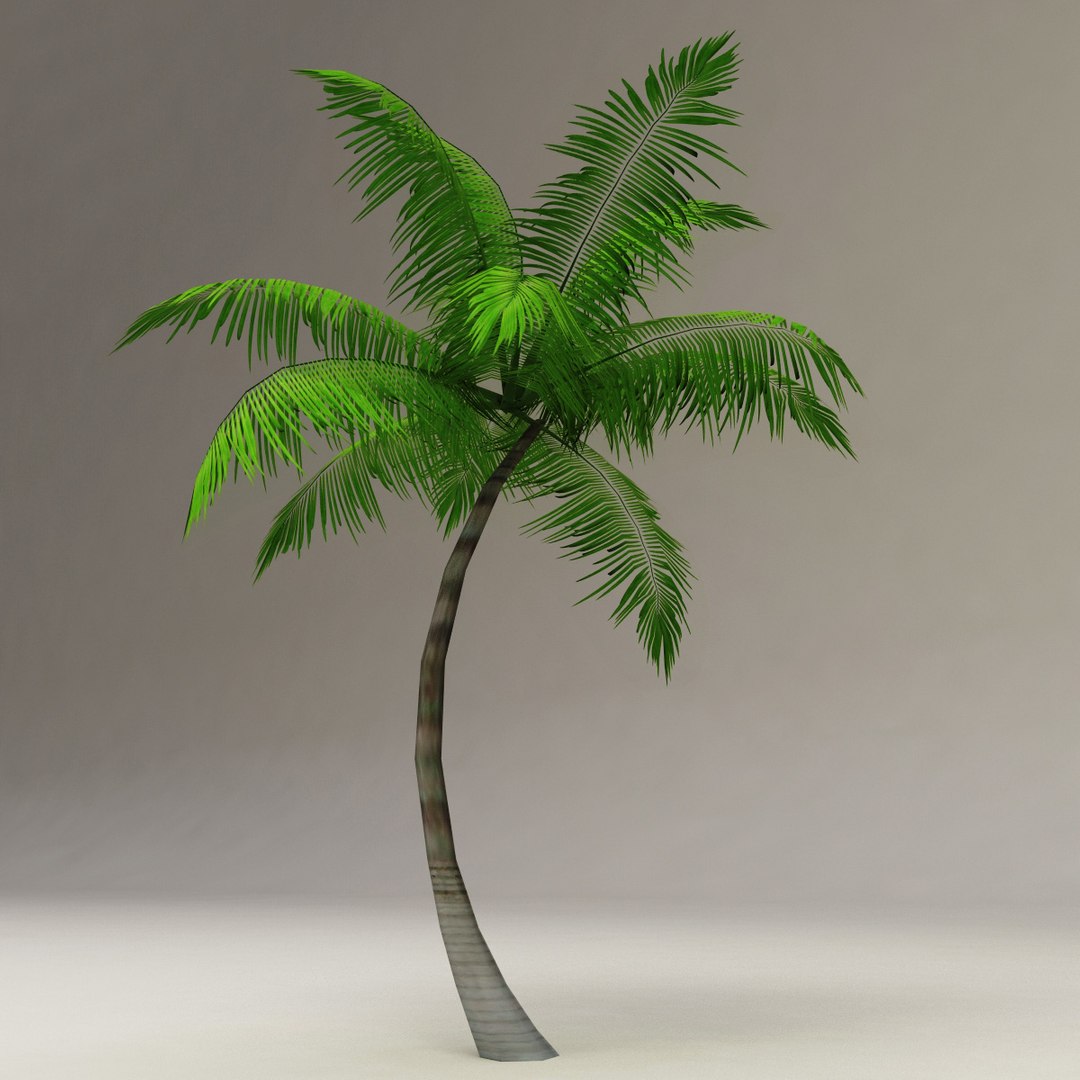 3d palms set modelled model