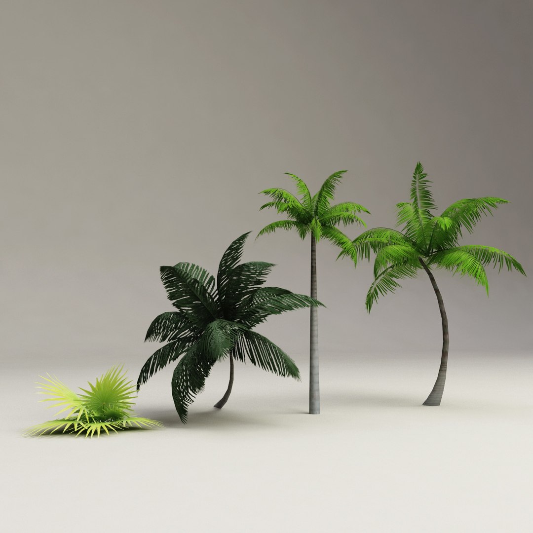 3d Palms Set Modelled Model