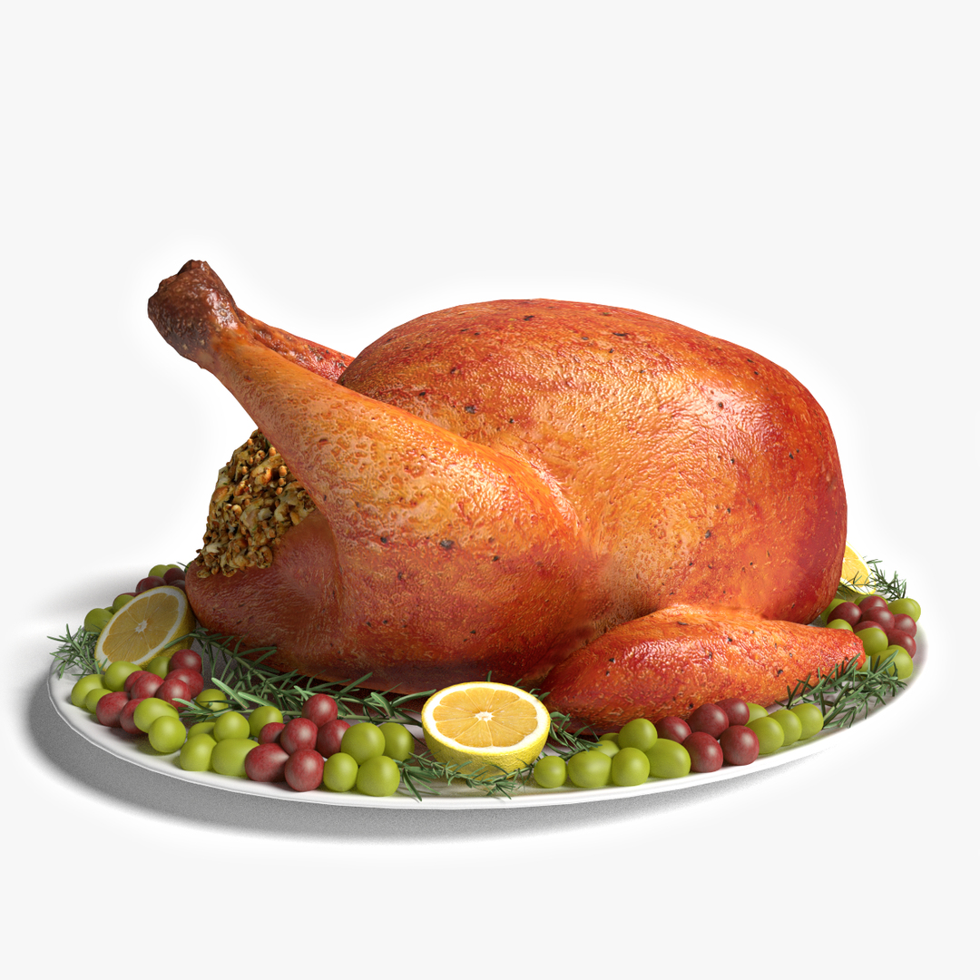 thanksgiving turkey 3d model