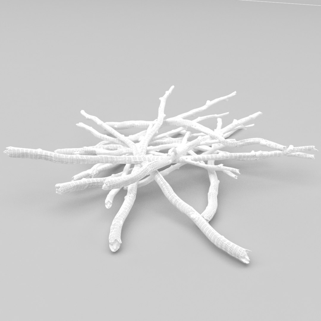 3d Model Of Twigs 1