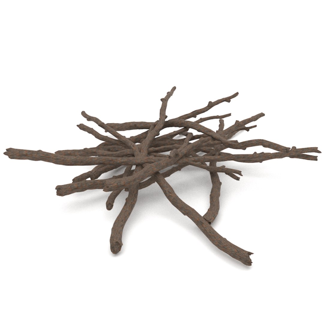 3d Model Of Twigs 1