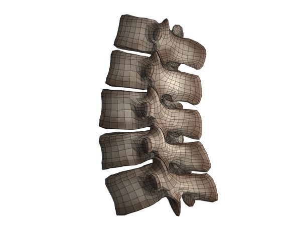 3D Lumbar Spine model - TurboSquid 1786515