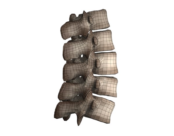 3D Lumbar Spine model - TurboSquid 1786515