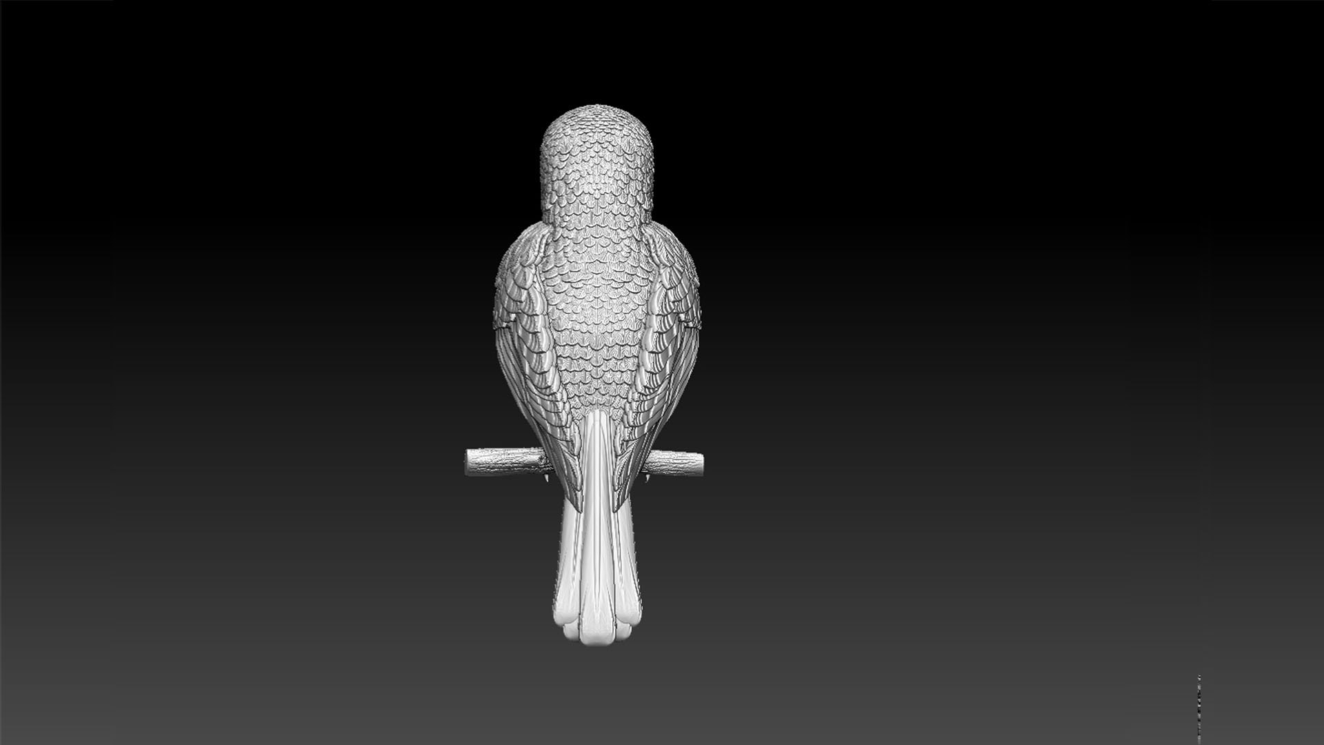 Colibri Humming Bird 3D Model - TurboSquid 1957566