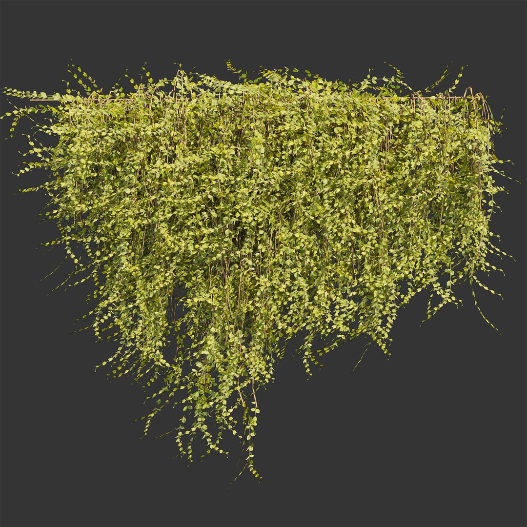 3D Collection Plant Vol 378 - Outdoor - Ivy - Leaf - Bush - Blender ...