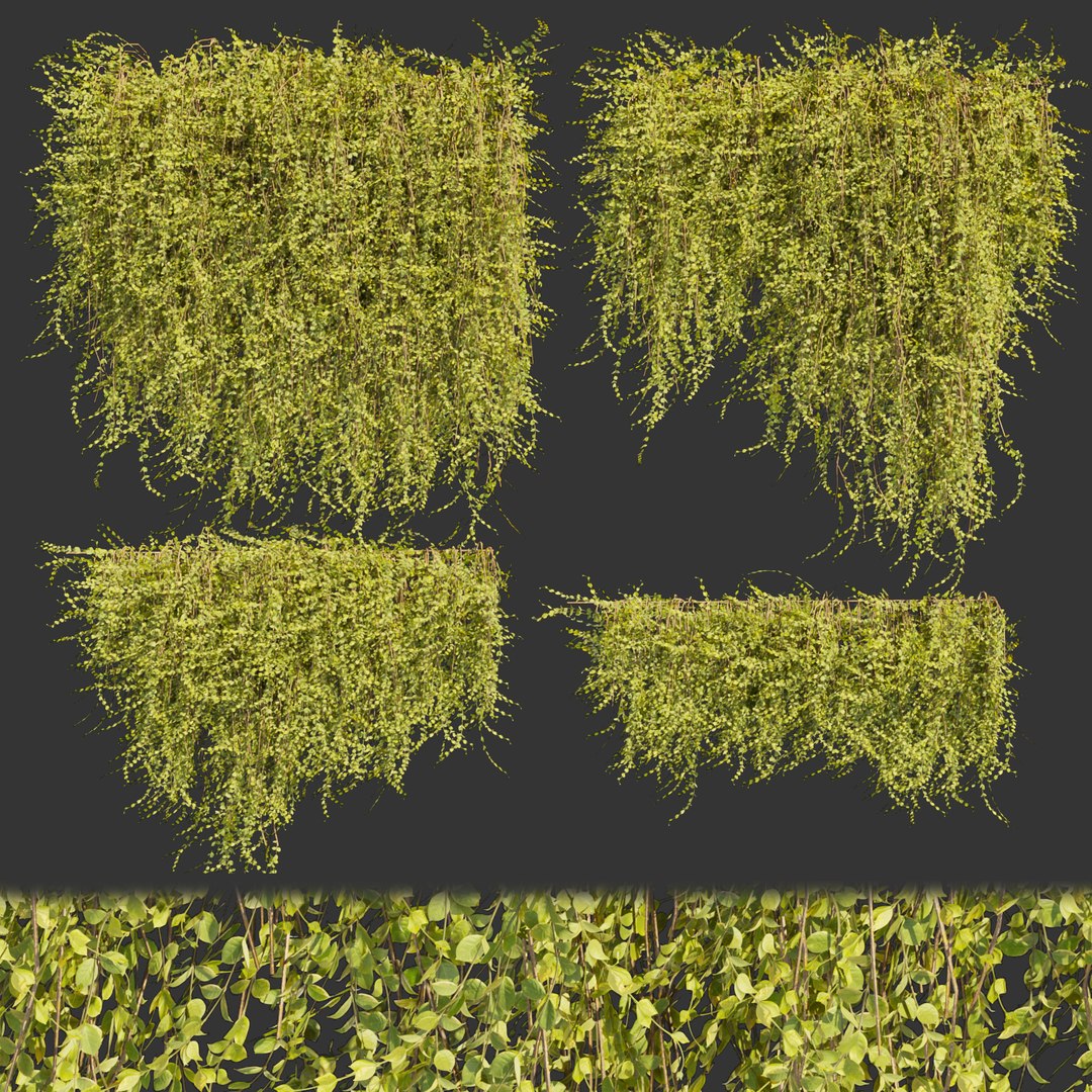 3D Collection Plant Vol 378 - Outdoor - Ivy - Leaf - Bush - Blender ...