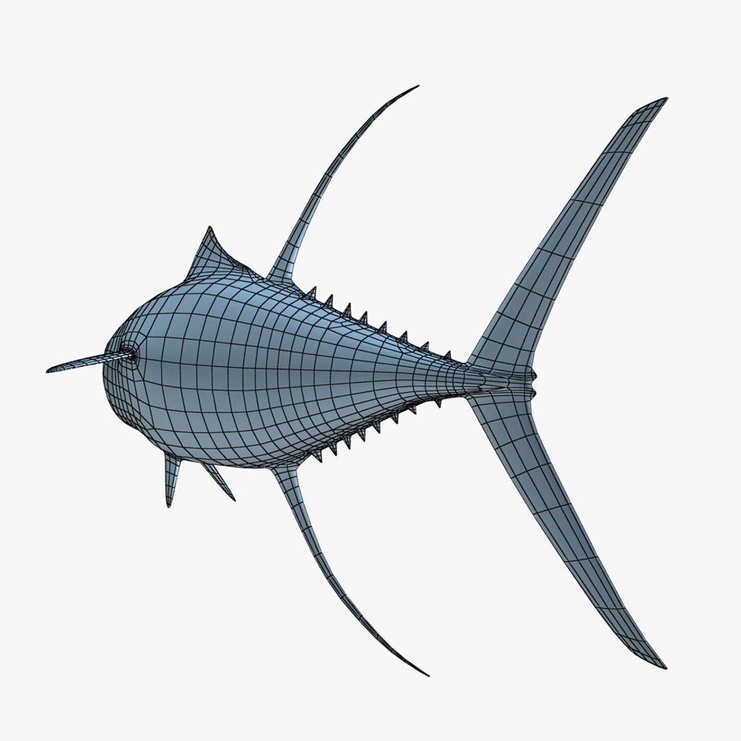 3d Tuna Fish