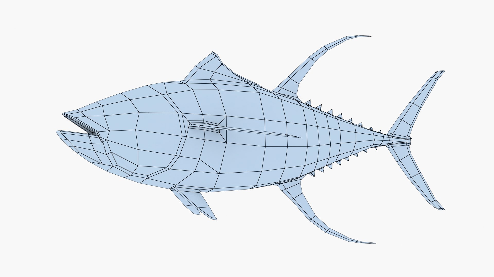3d Tuna Fish