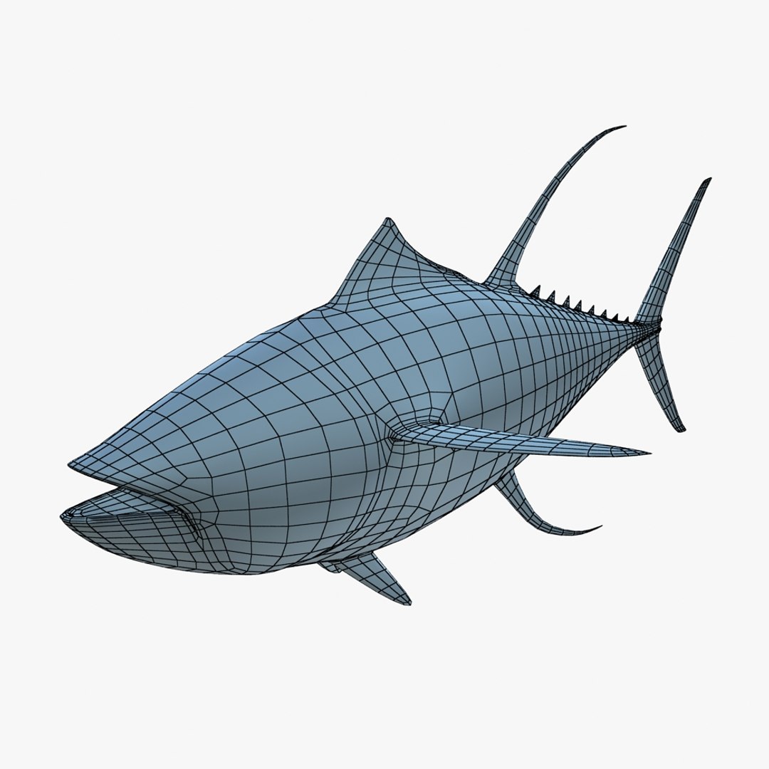 3d Tuna Fish