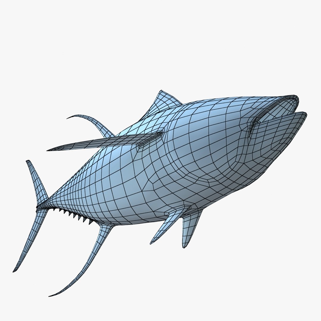 3d Tuna Fish