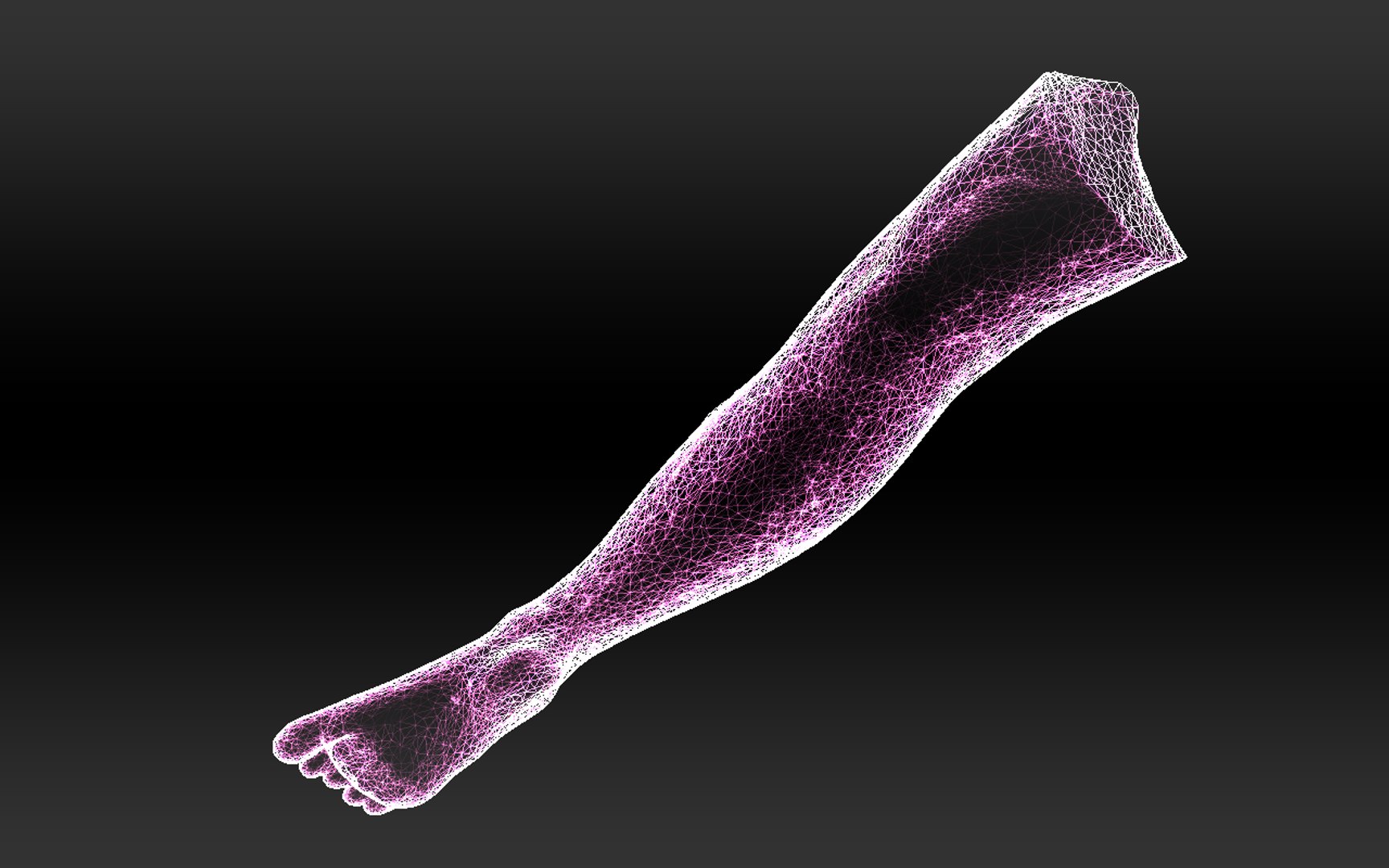 3D leg - TurboSquid 1604799