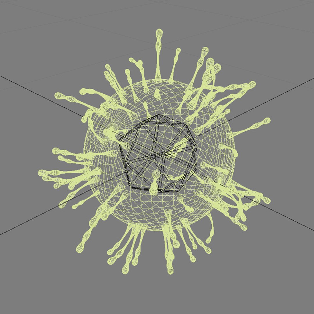 Microbes Micro Organisms 3d Model