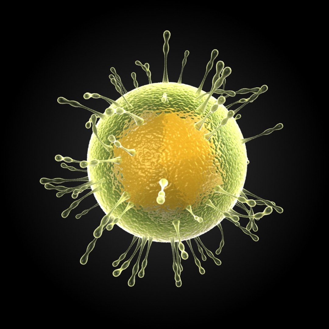 Microbes Micro Organisms 3d Model