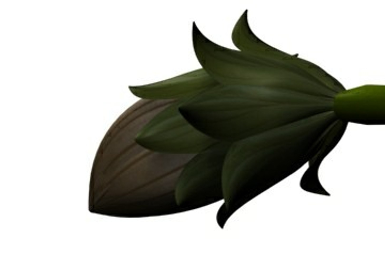 Realistic Flower Animation Open 3ds