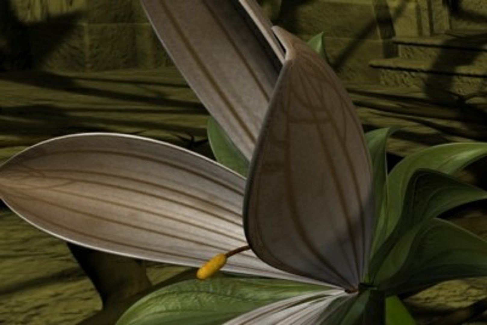 Realistic Flower Animation Open 3ds