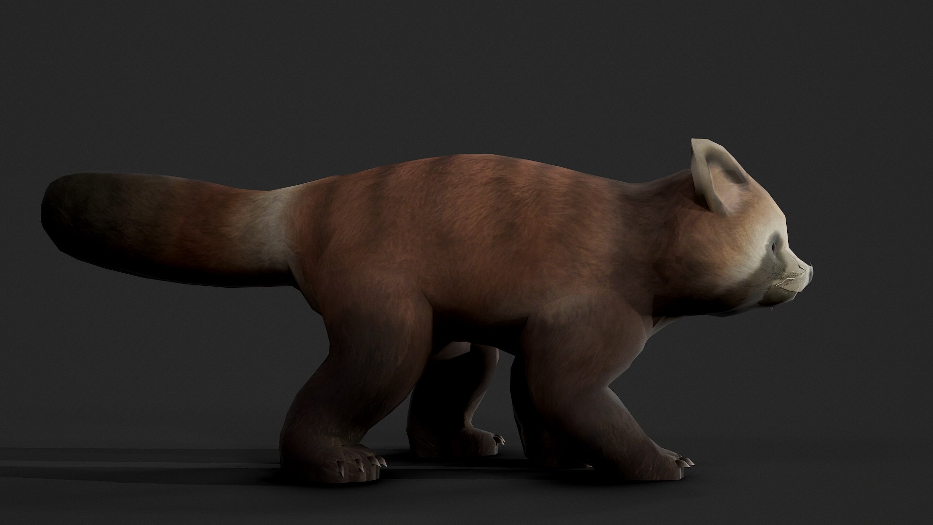 3D Animated red panda model - TurboSquid 2156644