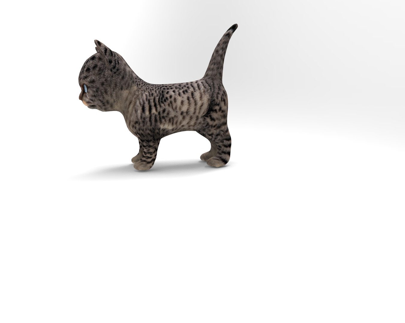 Cute Cat Model - TurboSquid 1220890