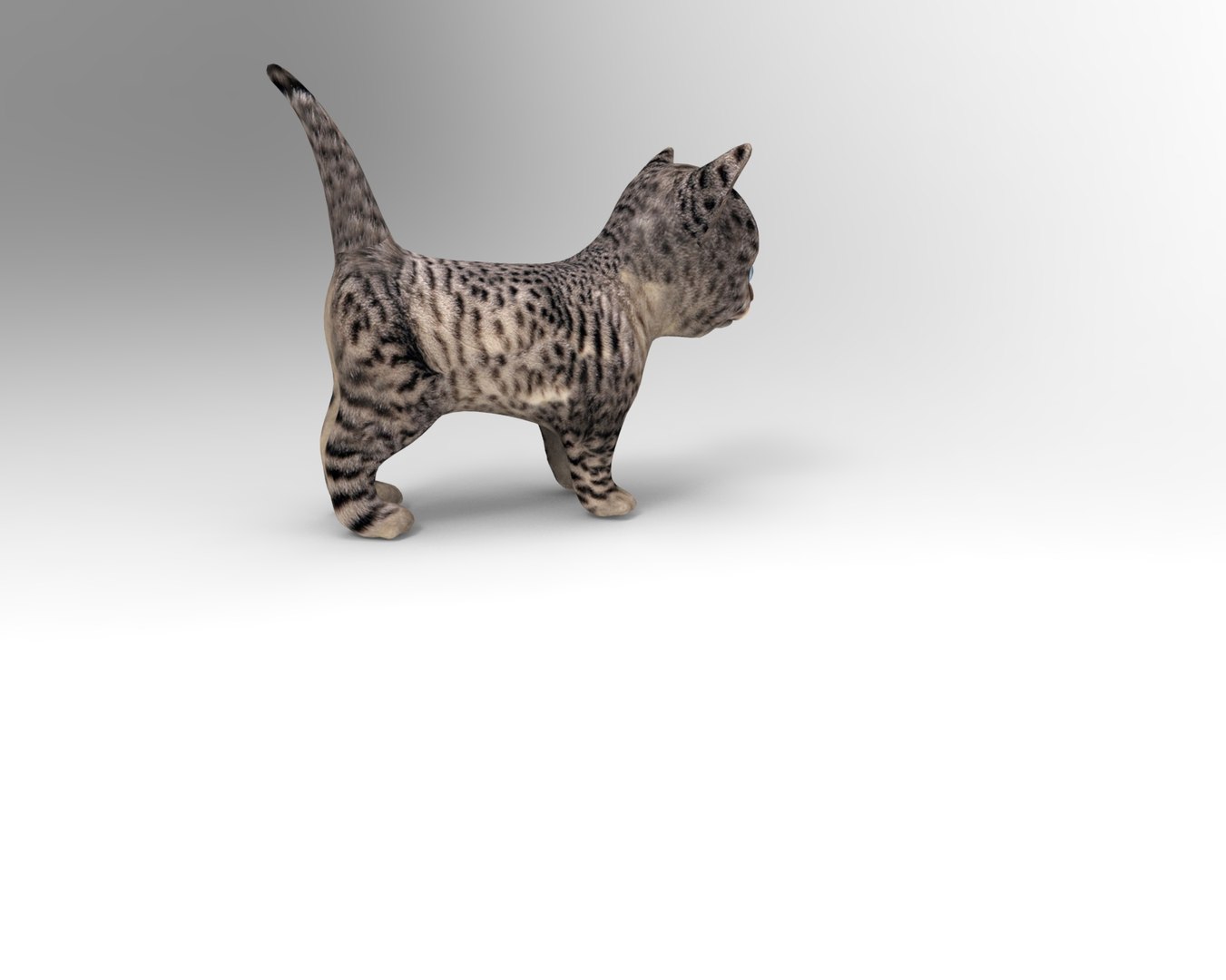 Cute Cat Model - TurboSquid 1220890