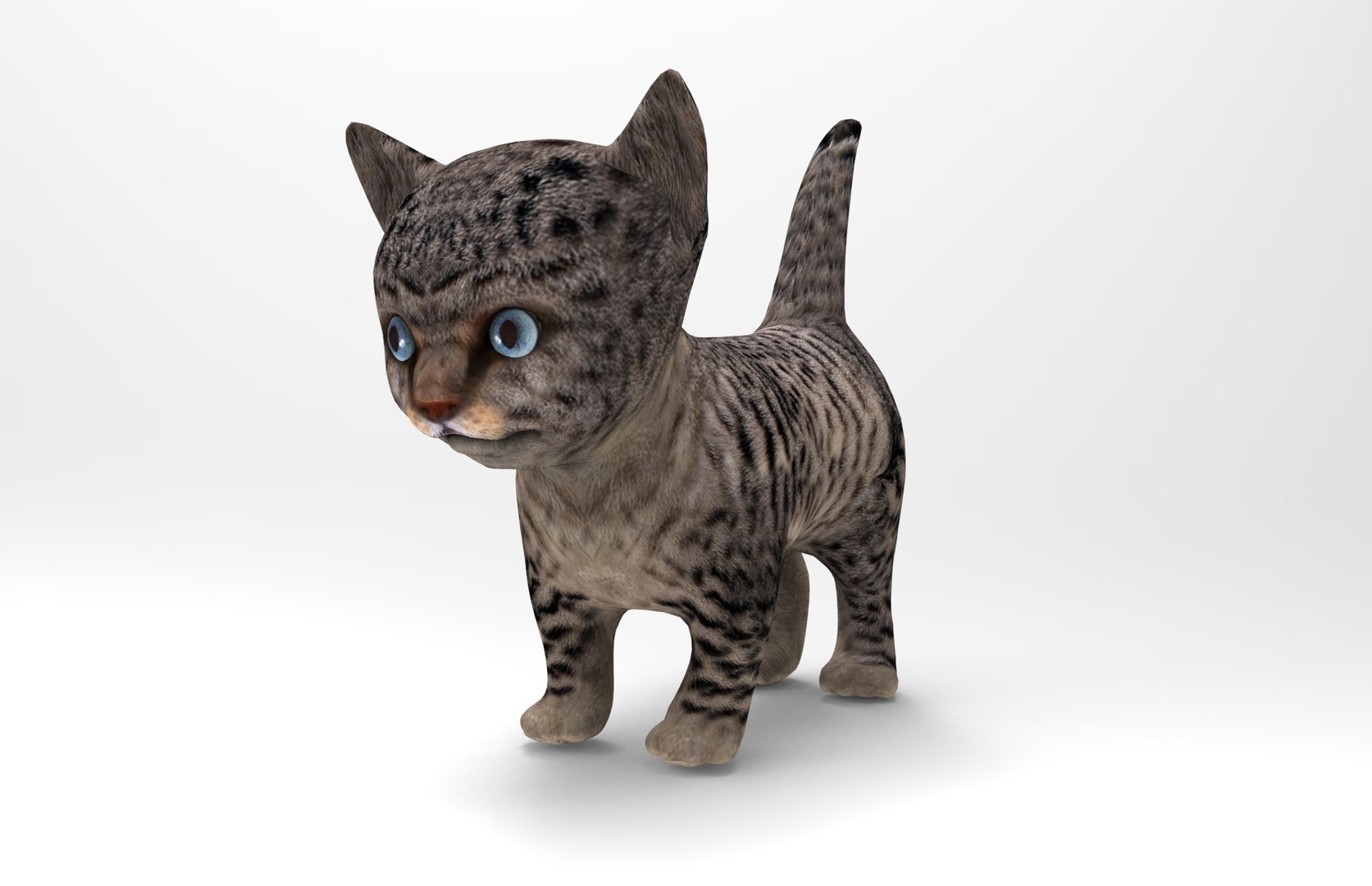 Cute Cat Model - TurboSquid 1220890