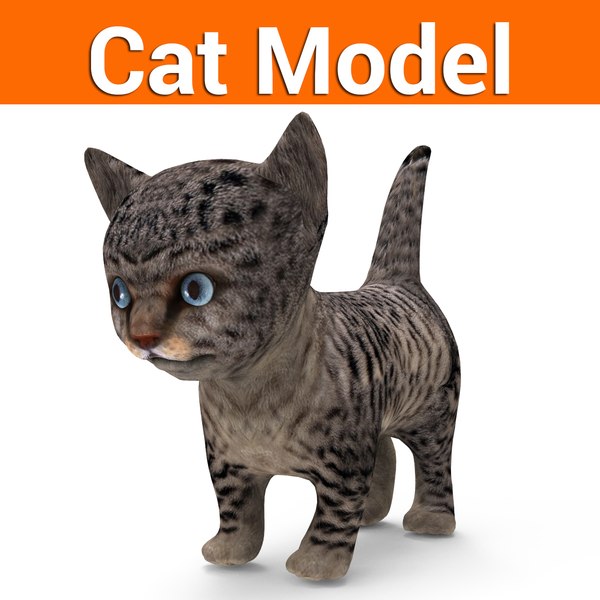 modelo 3d gatito gato low poly - TurboSquid 1220890