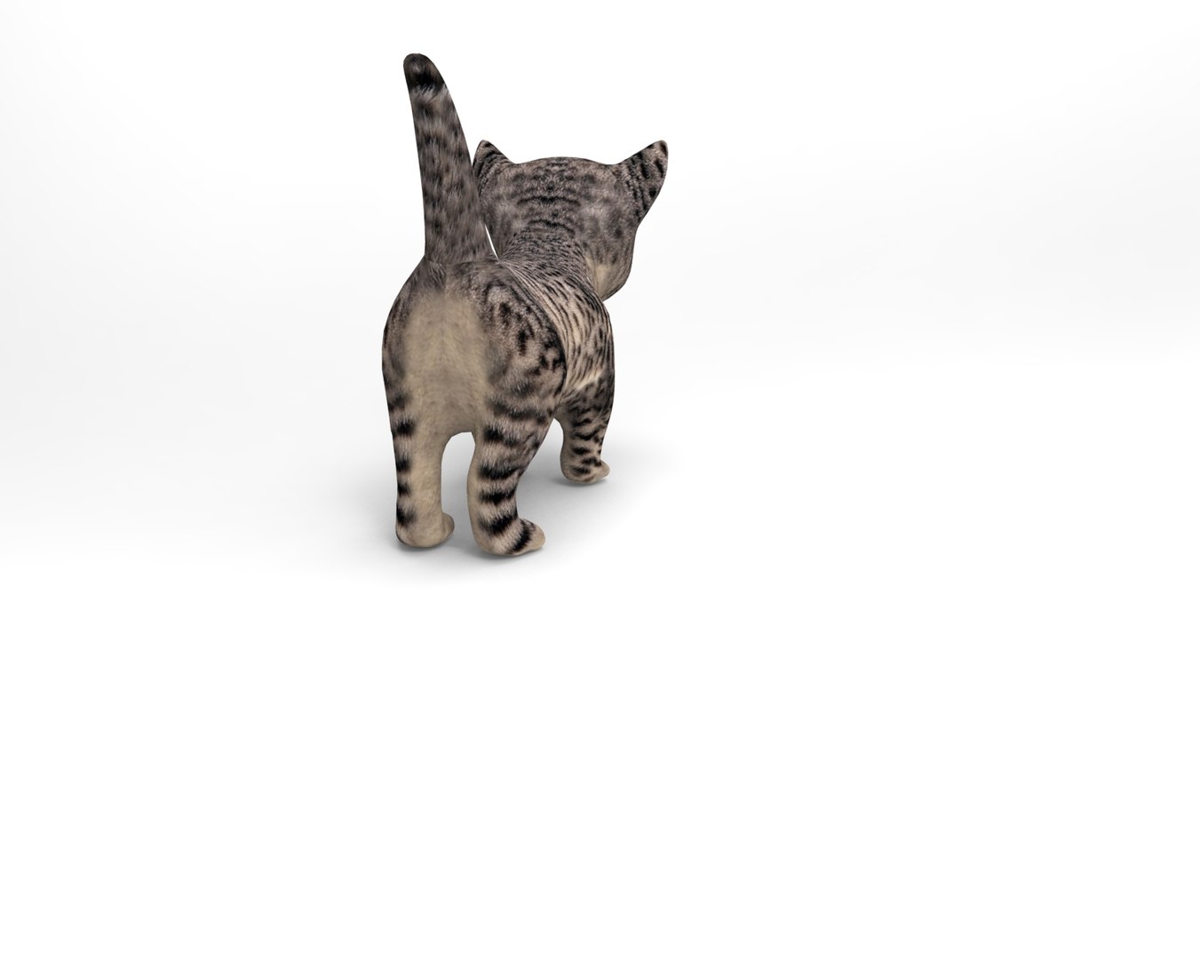 Cute Cat Model - TurboSquid 1220890
