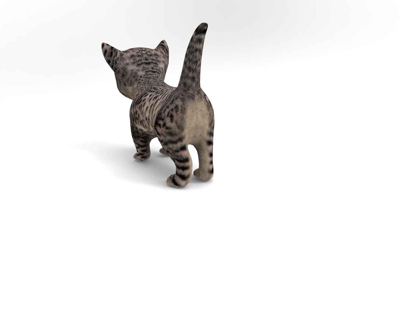 Cute Cat Model - TurboSquid 1220890